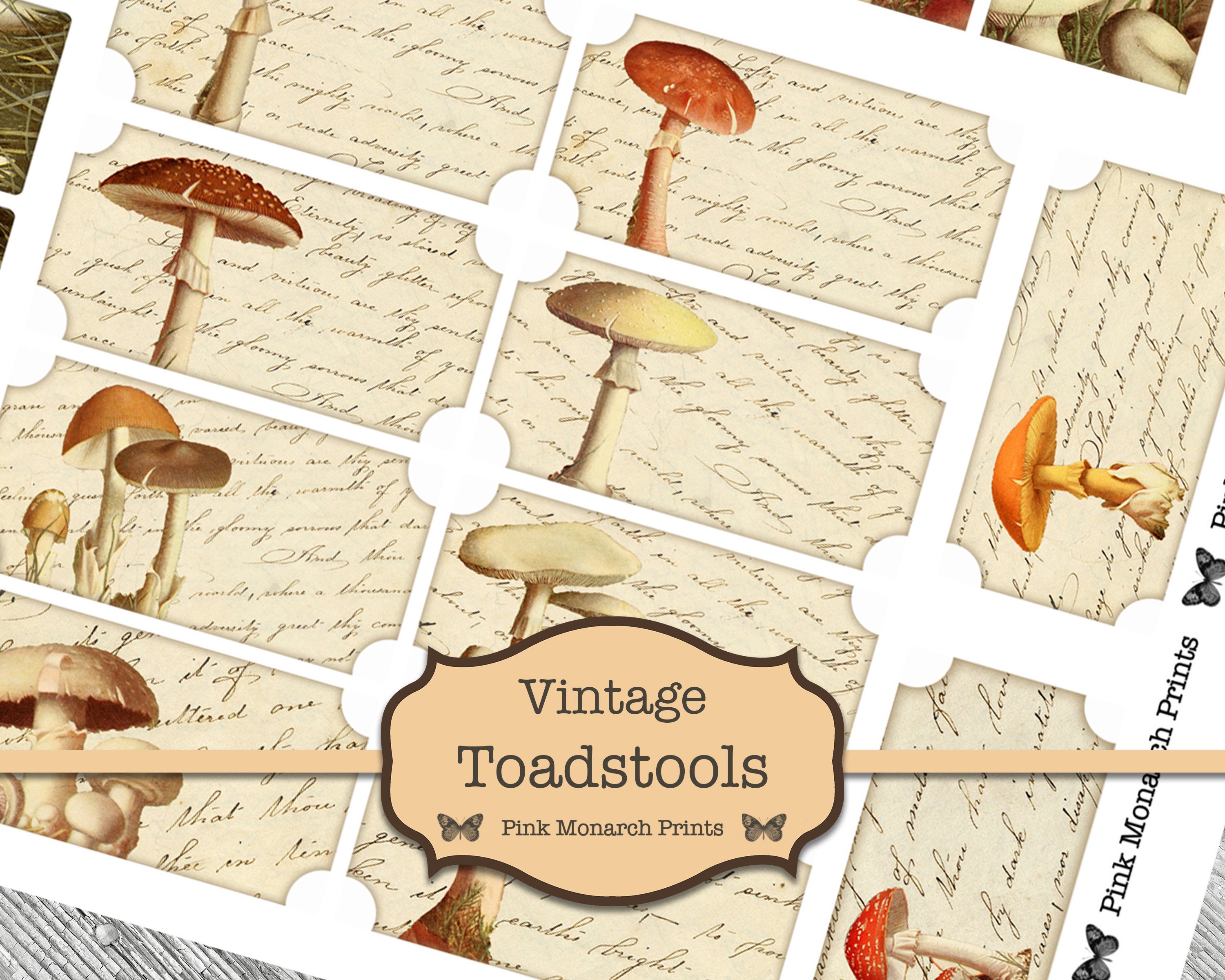 Printable Mushrooms Toadstool and Mushroom Ephemera Junk - Etsy UK