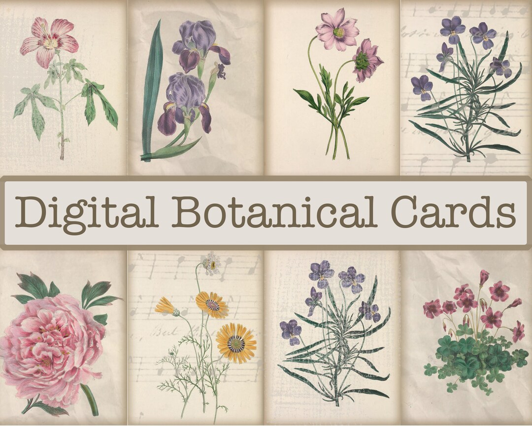 Digital Floral Cards, Botanical Cards for Junk Journaling, Journaling ...