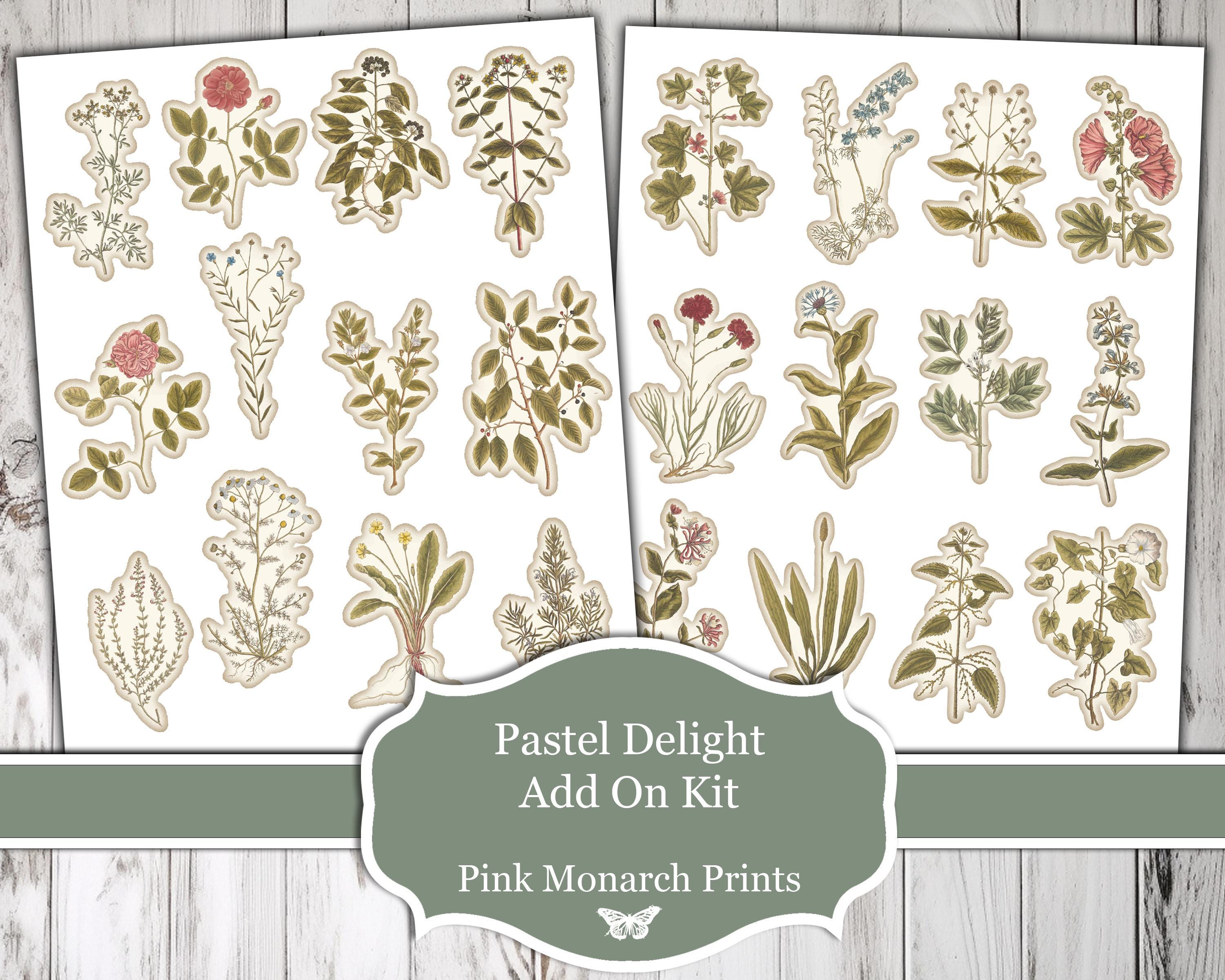 Pastel Delight Add on Kit: Pastel Ephemera for Junk Journaling and ...
