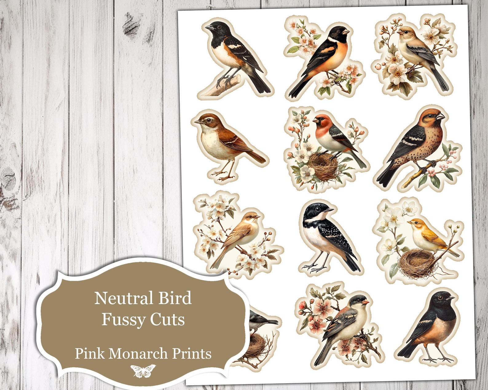 Neutral Bird Fussy Cuts: Printable Ephemera for Junk Journals (digital ...