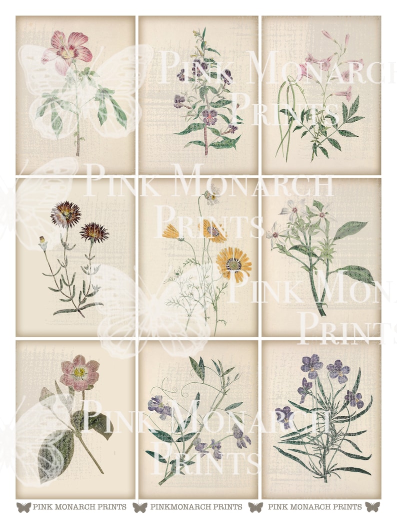 Digital Floral Cards Botanical Cards for Junk Journaling - Etsy