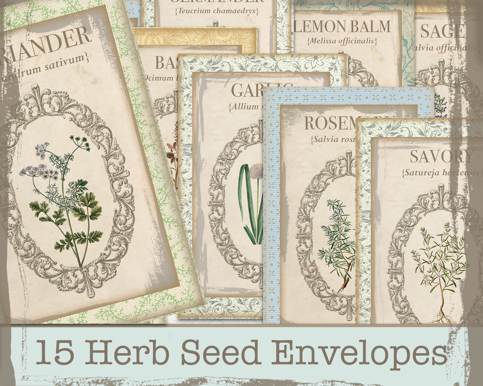 Digital Seed Packet Herbs Botanical Envelopes for Junk - Etsy