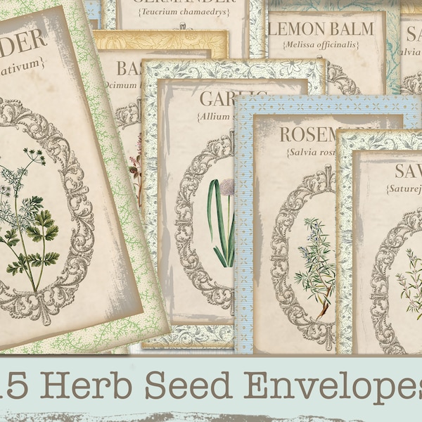 Seed Packet Template - Etsy