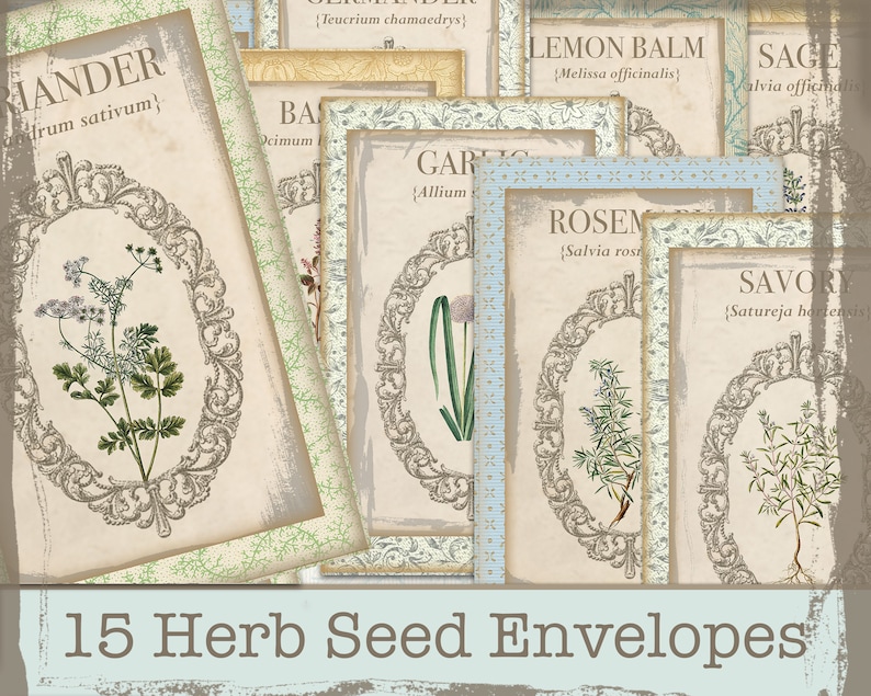 Digital Seed Packet, Herbs, Botanical Envelopes for Junk Journaling ...