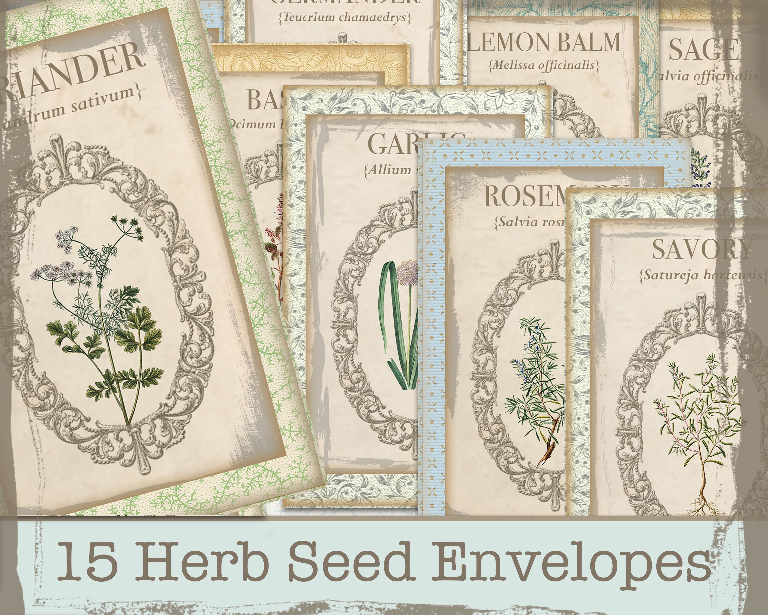 Digital Seed Packet Herbs Botanical Envelopes for Junk - Etsy