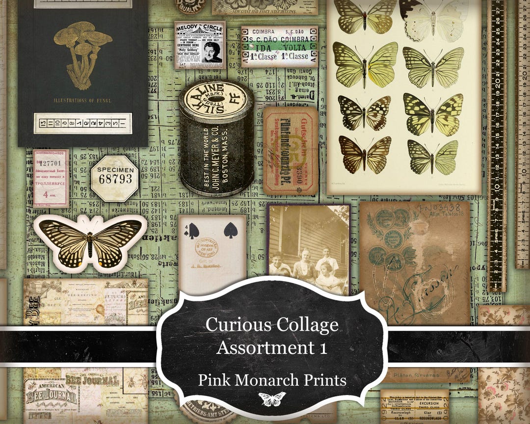 Curious Collage Assortment 1, Printable Collage Set, Digital Junk ...