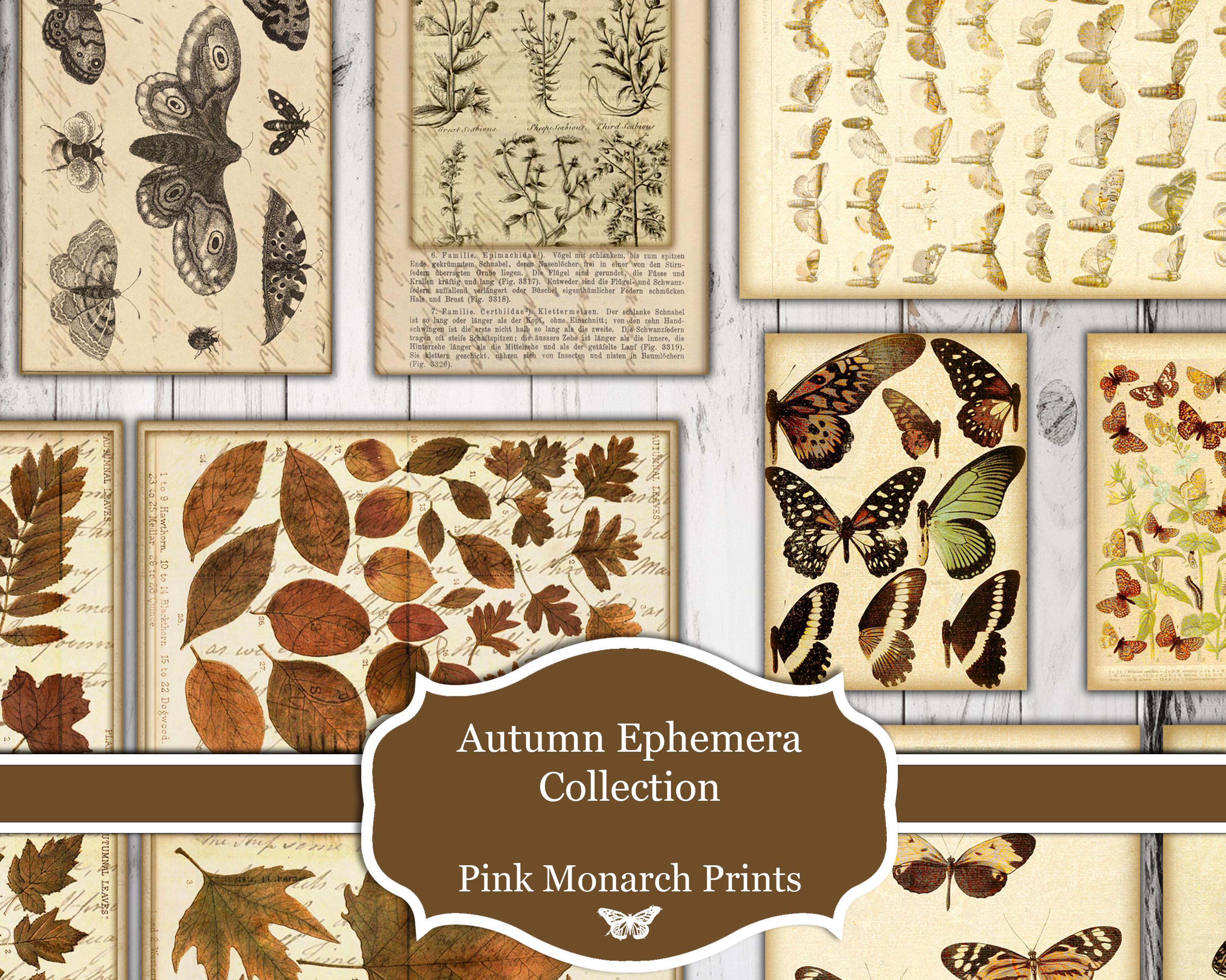 Autumn Ephemera Collection: Vintage-inspired Junk Journal Printables ...