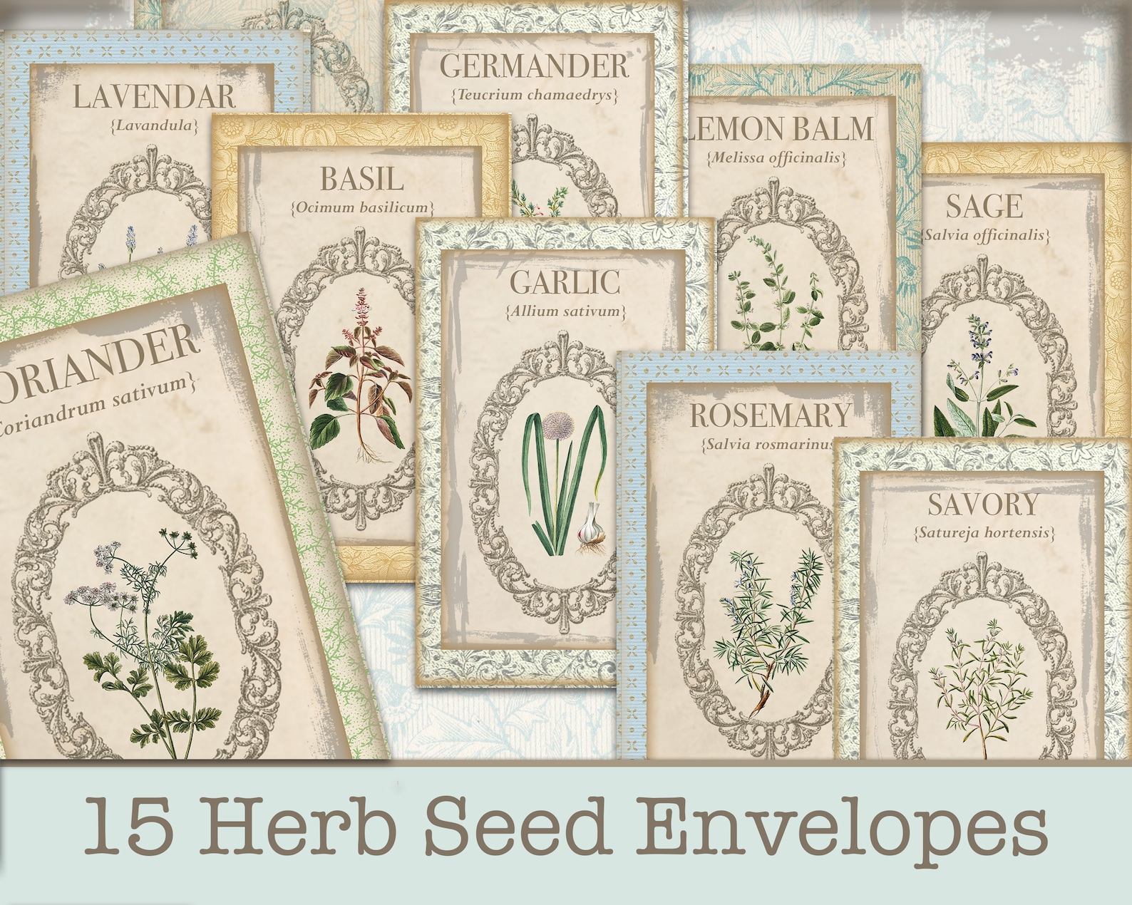 Digital Seed Packet, Herbs, Botanical Envelopes for Junk Journaling ...