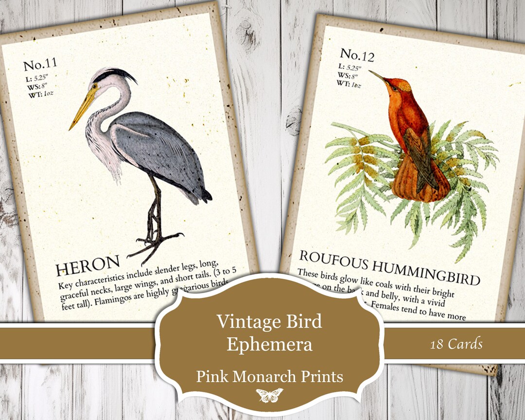 Vintage Bird Ephemera, Digital, Vintage, Bird Ephemera, Bird Cards ...