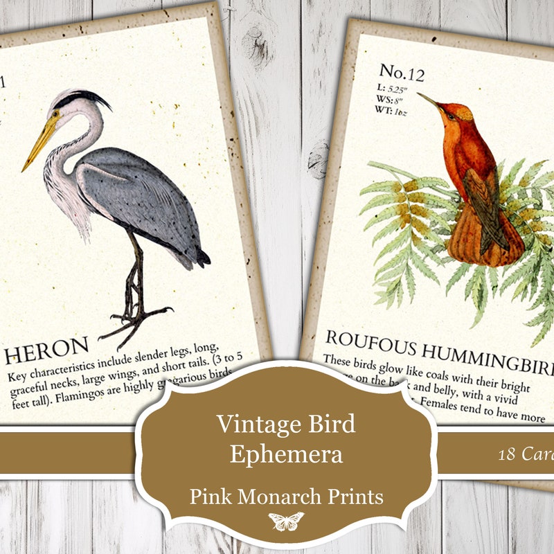 Bird Print Shop - Etsy