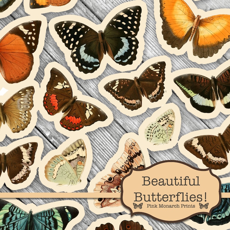 Butterfly Scrapbook - Etsy