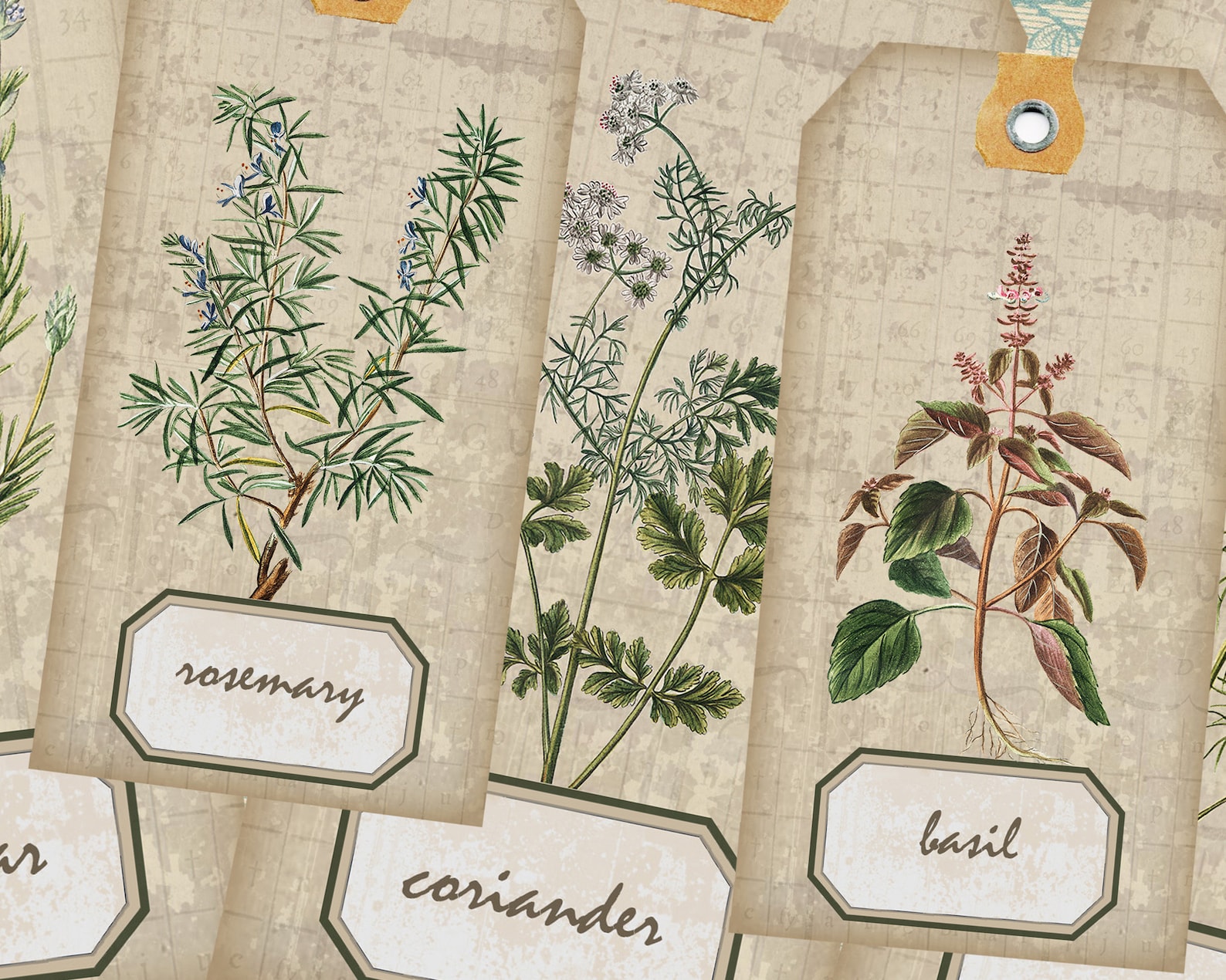 Digital Floral Cards Botanical Cards for Junk Journaling - Etsy