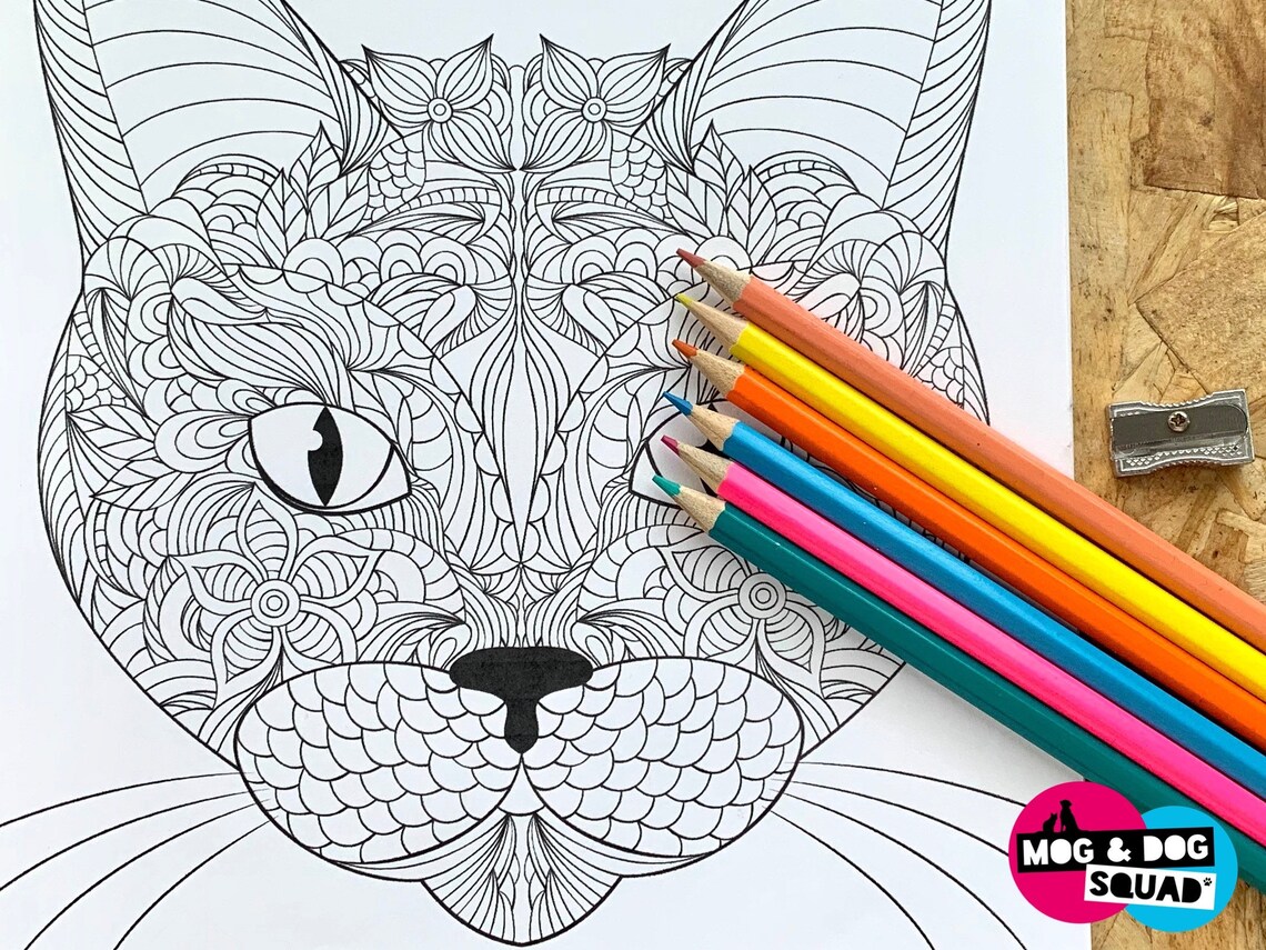 Crazy Cat Colouring Pages 15 Pages Printable PDF - Etsy