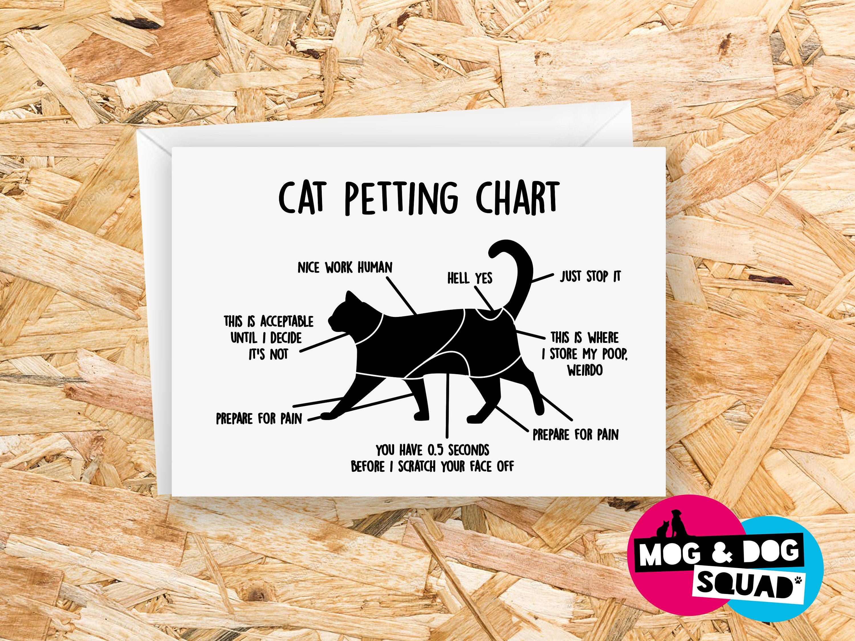 Funny Cat Petting Chart Birthday Card Blank Card Cat | Etsy UK