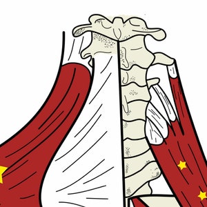 Upper Body - Trigger Point Chart - Muscle Anatomy Art - Chiropractic ...