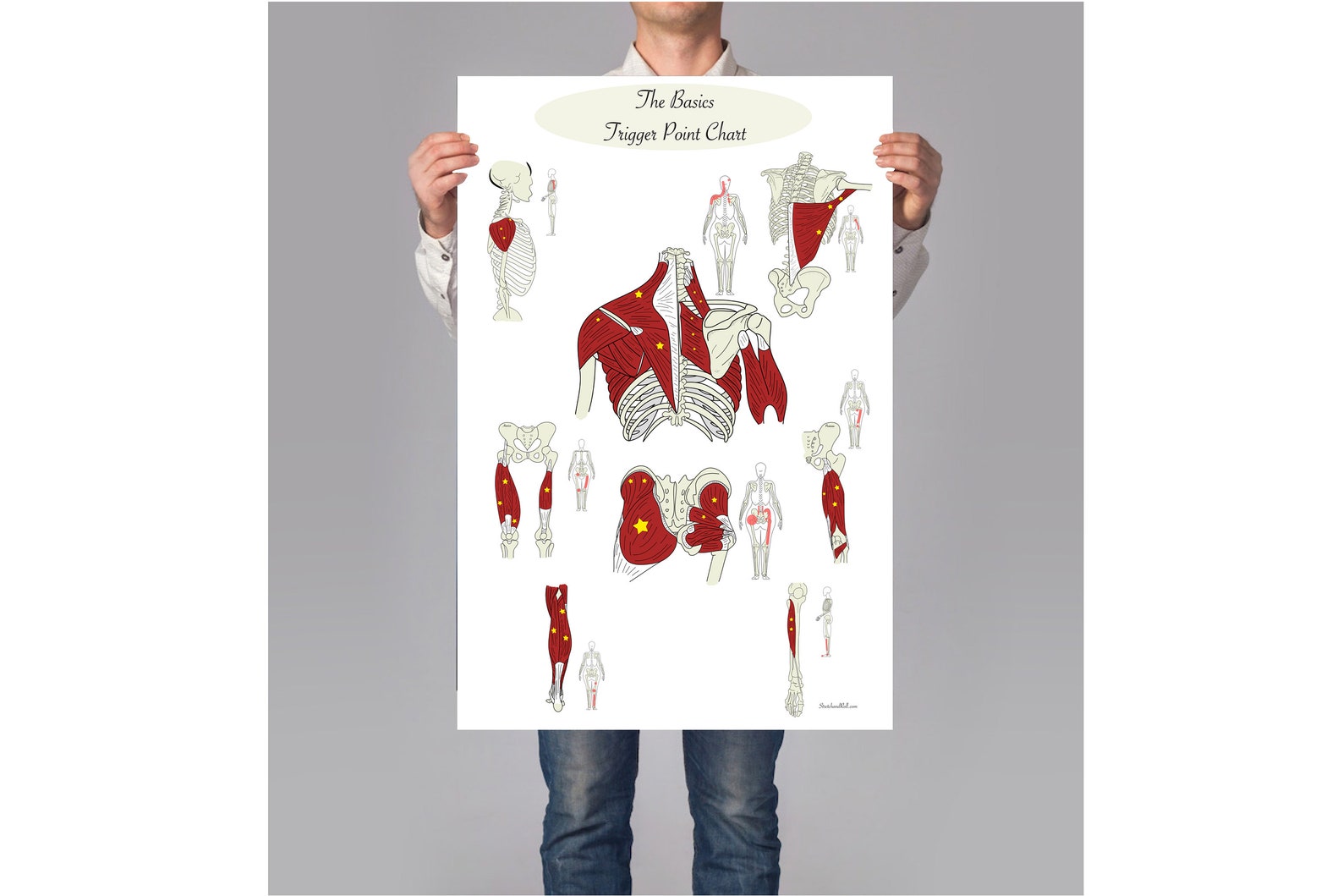 Upper Body - Trigger Point Chart - Muscle Anatomy Art - Chiropractic ...