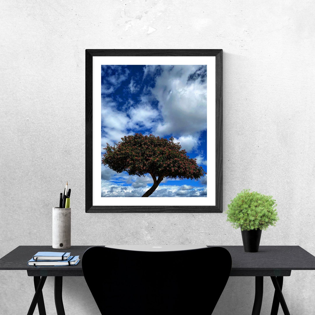 One Tree Hill - Etsy