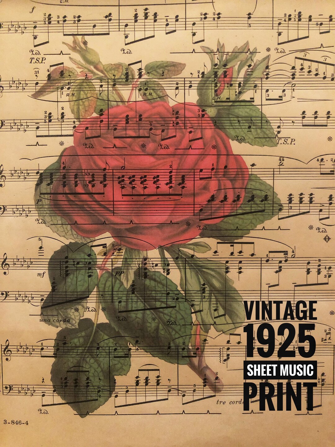 Antique Sheet Music ROSE - Vintage 1925 Sheet Music Print - Music Lover ...