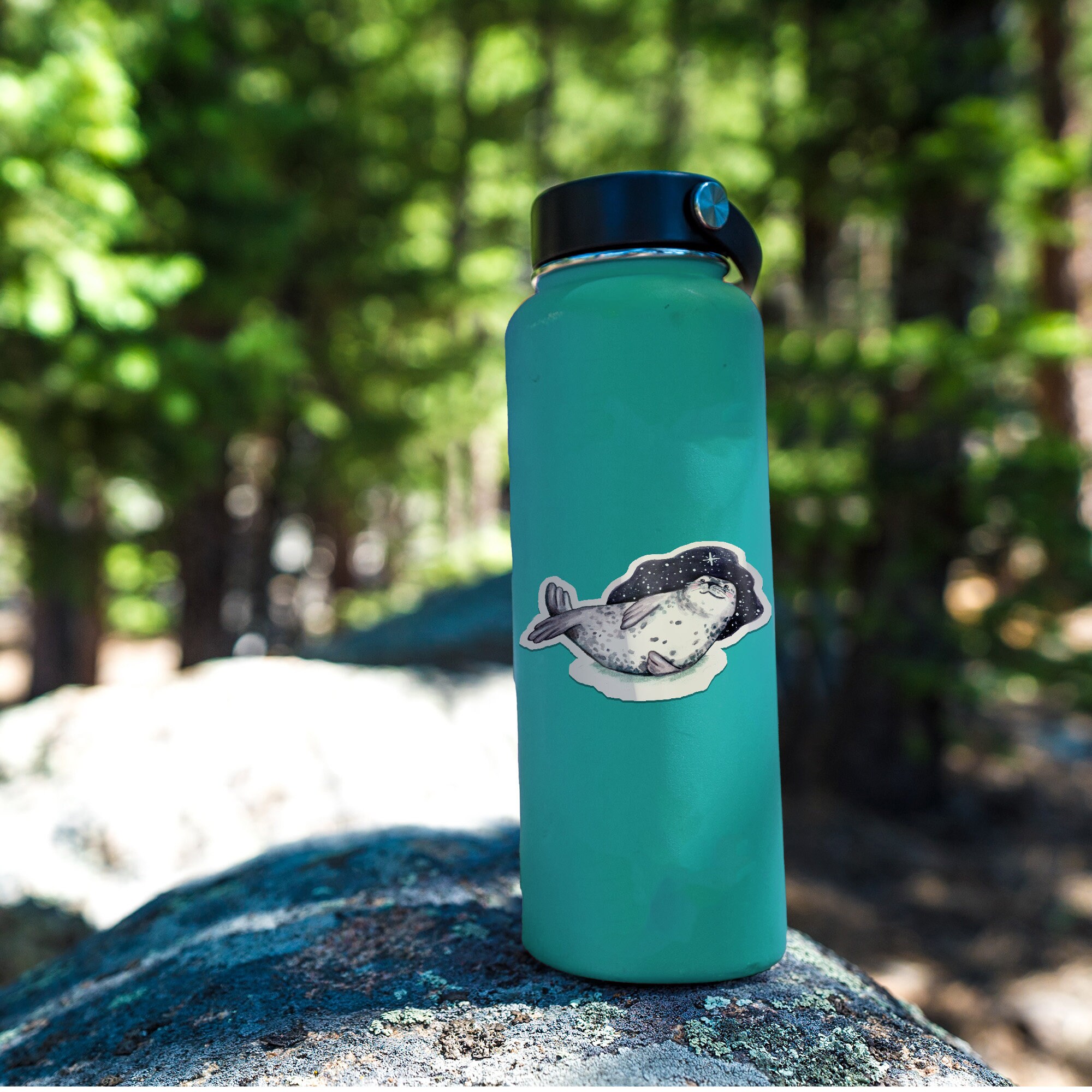 Harbor Seal Sticker - Etsy