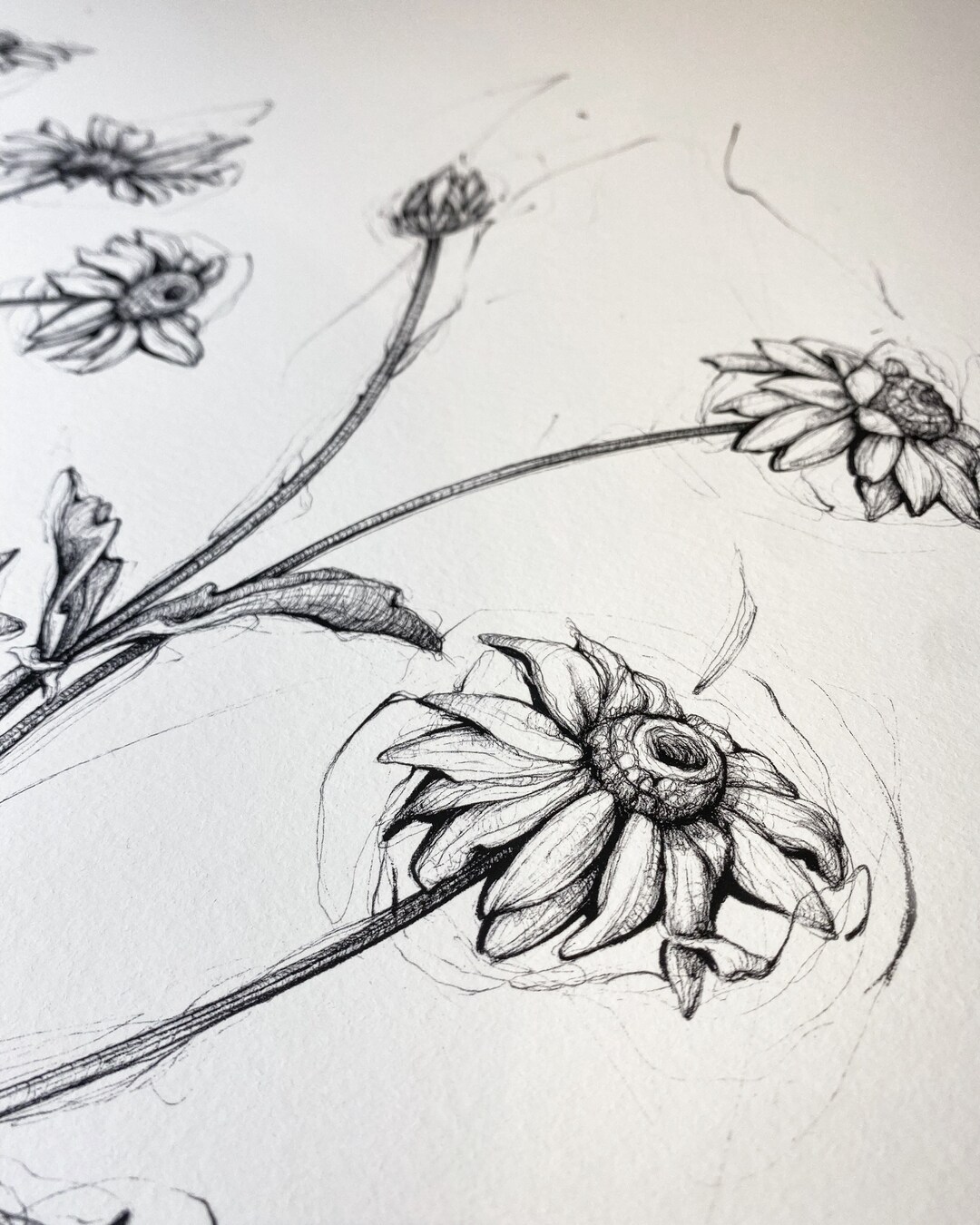Black and Grey Daisies - Etsy