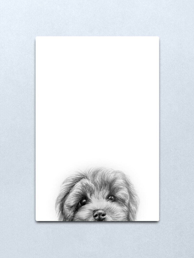 Cavapoo Print Graphite Pencil Digital Cavoodle Art - Etsy