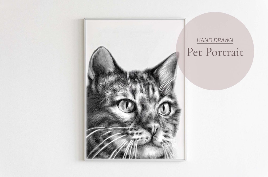 Custom Pet Portrait Hand Drawn From Photo Pencil Drawing - Etsy