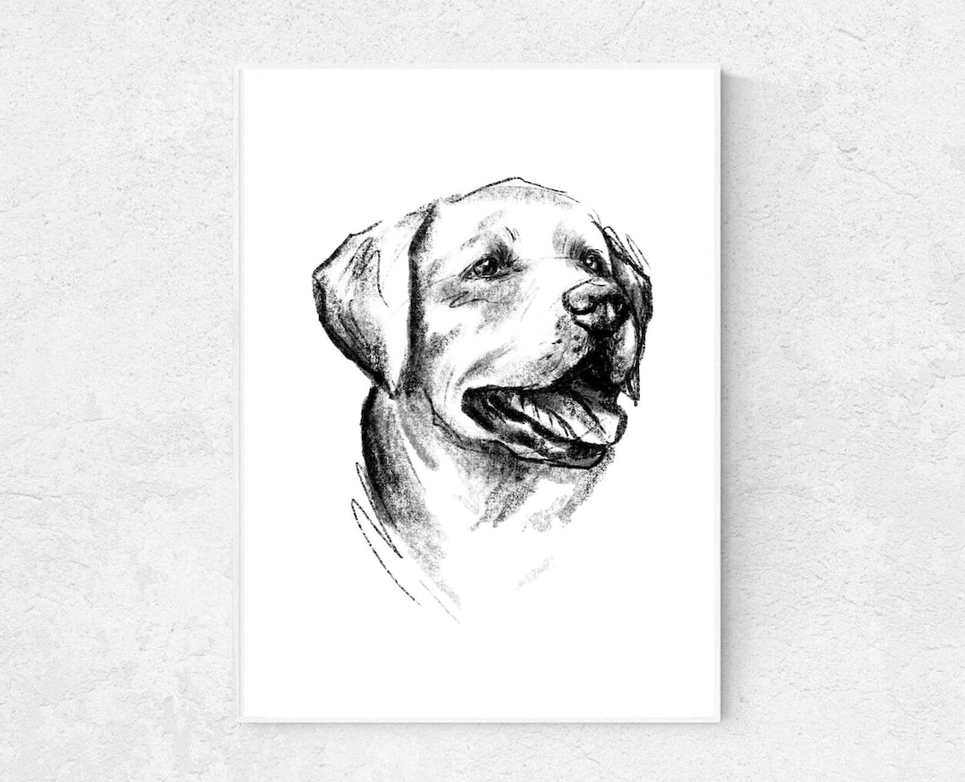 Labrador Print | Pencil Sketch | Digital Labrador Art | Labrador Poster ...