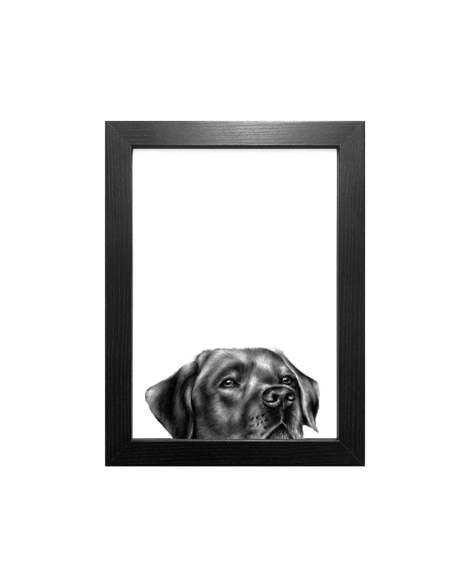 Labrador Print Graphite Pencil Digital Labrador Art | Etsy