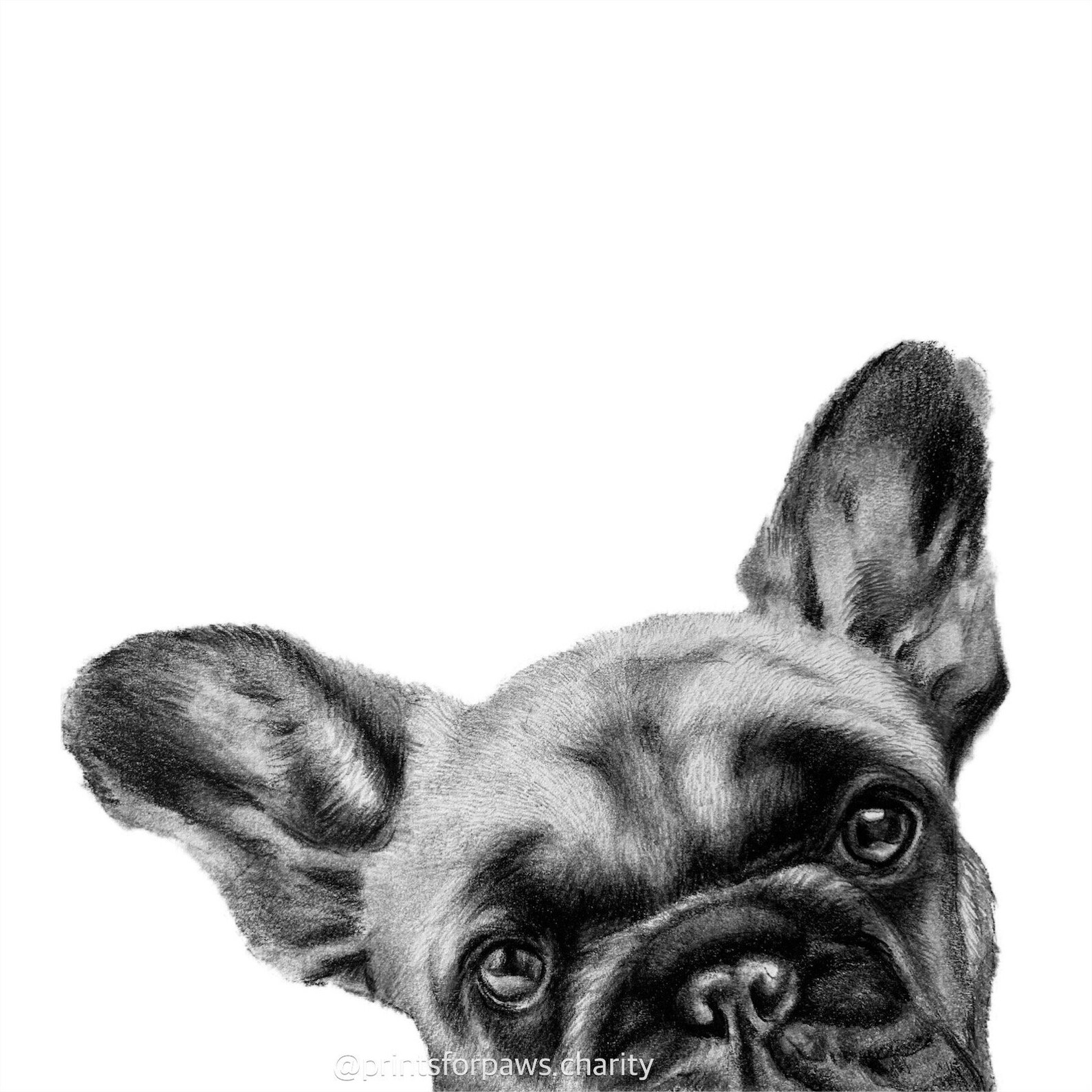 French Bulldog Print | Graphite Pencil | Digital Frenchie Art ...