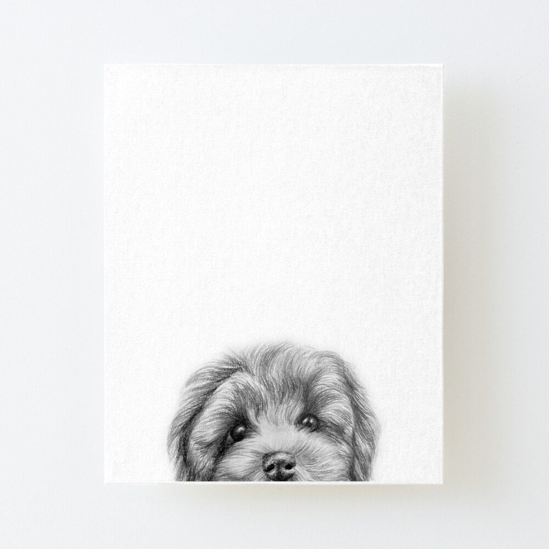Cavapoo Print | Graphite Pencil | Digital Cavoodle Art | Cavadoodle ...