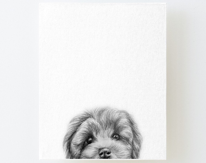 Cavapoo Print Graphite Pencil Digital Cavoodle Art Cavadoodle Poster Cadoodle Printable Cavapoo ...