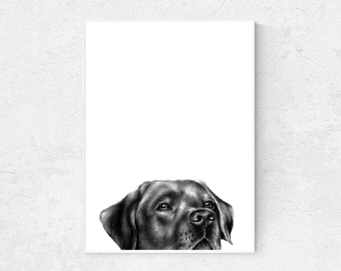 Labrador Print | Graphite Pencil | Digital Labrador Art | Labrador ...