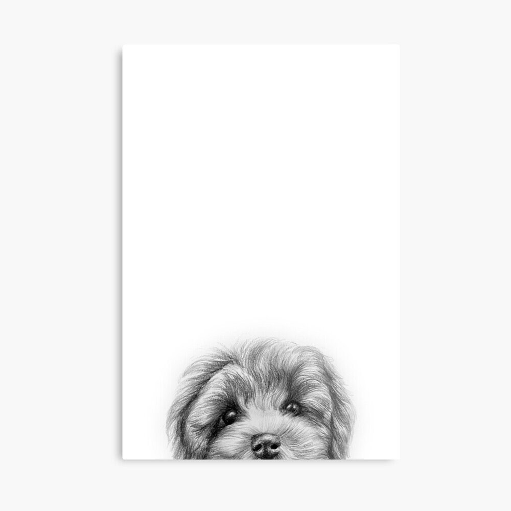 Cavapoo Print Graphite Pencil Digital Cavoodle Art - Etsy