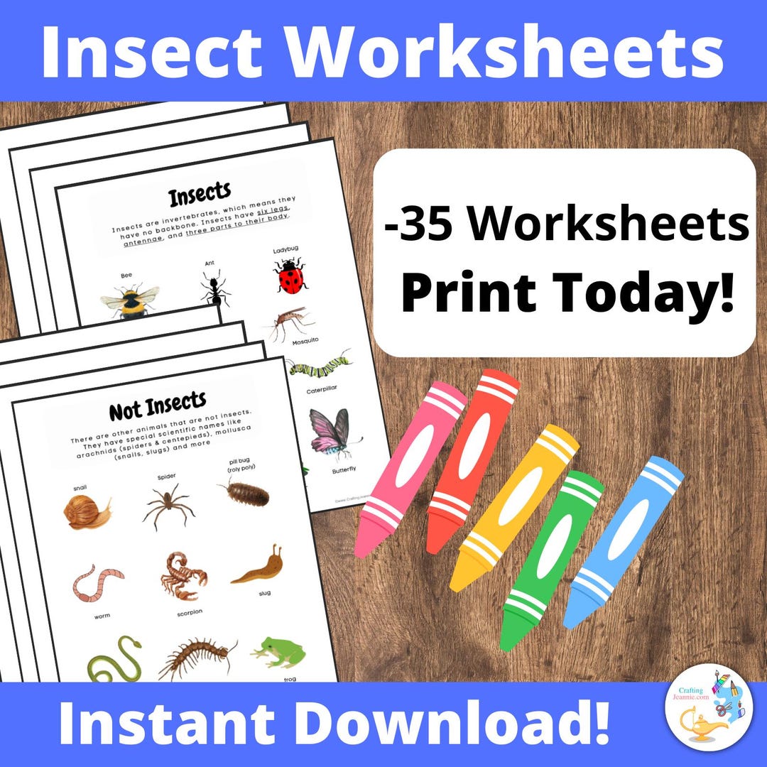 Printable Insect Worksheets for Preschoolers (bee, Ant, Ladybug ...