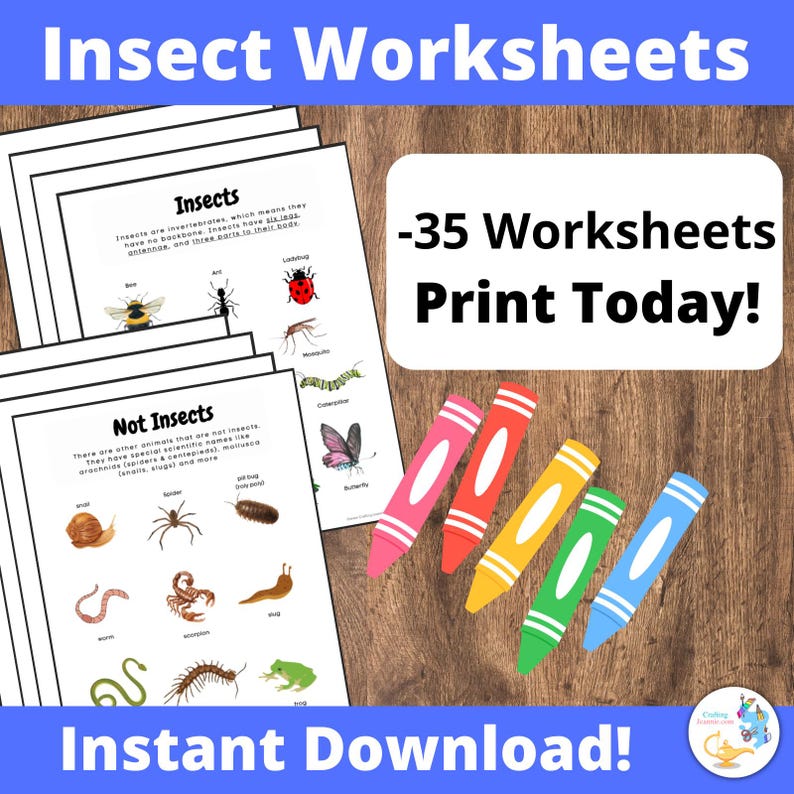 Printable Insect Worksheets for Preschoolers (bee, Ant, Ladybug ...