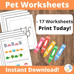 Printable Pet Worksheets for Preschoolers (cat, Fish, Turtle, Bunny ...