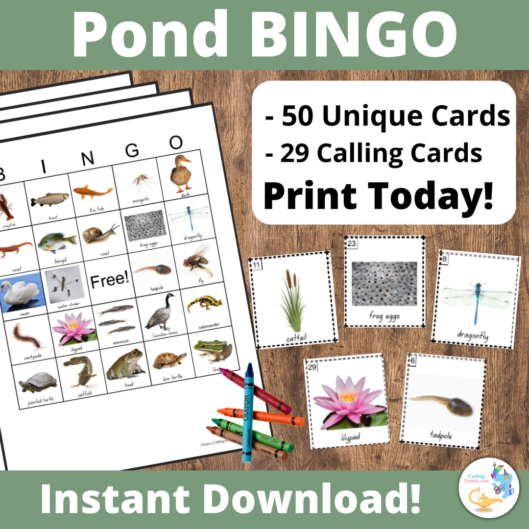 Pond Life BINGO Game for Preschoolers and Toddlers L Ecology Activities ...