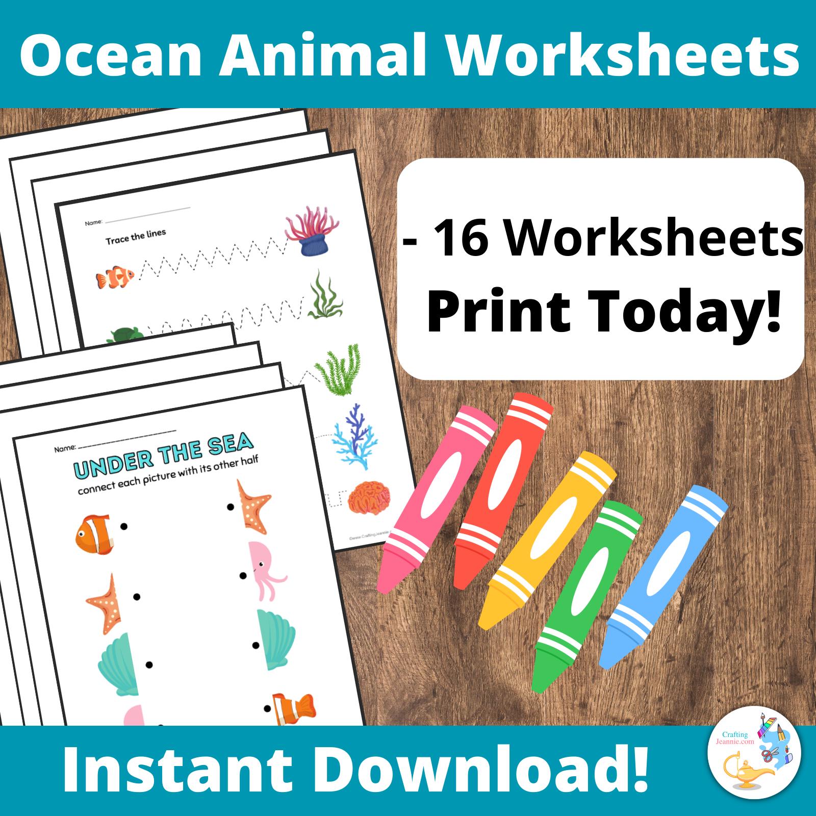 Printable Ocean Animal Worksheets for Preschoolers (turtle, Seahorse ...