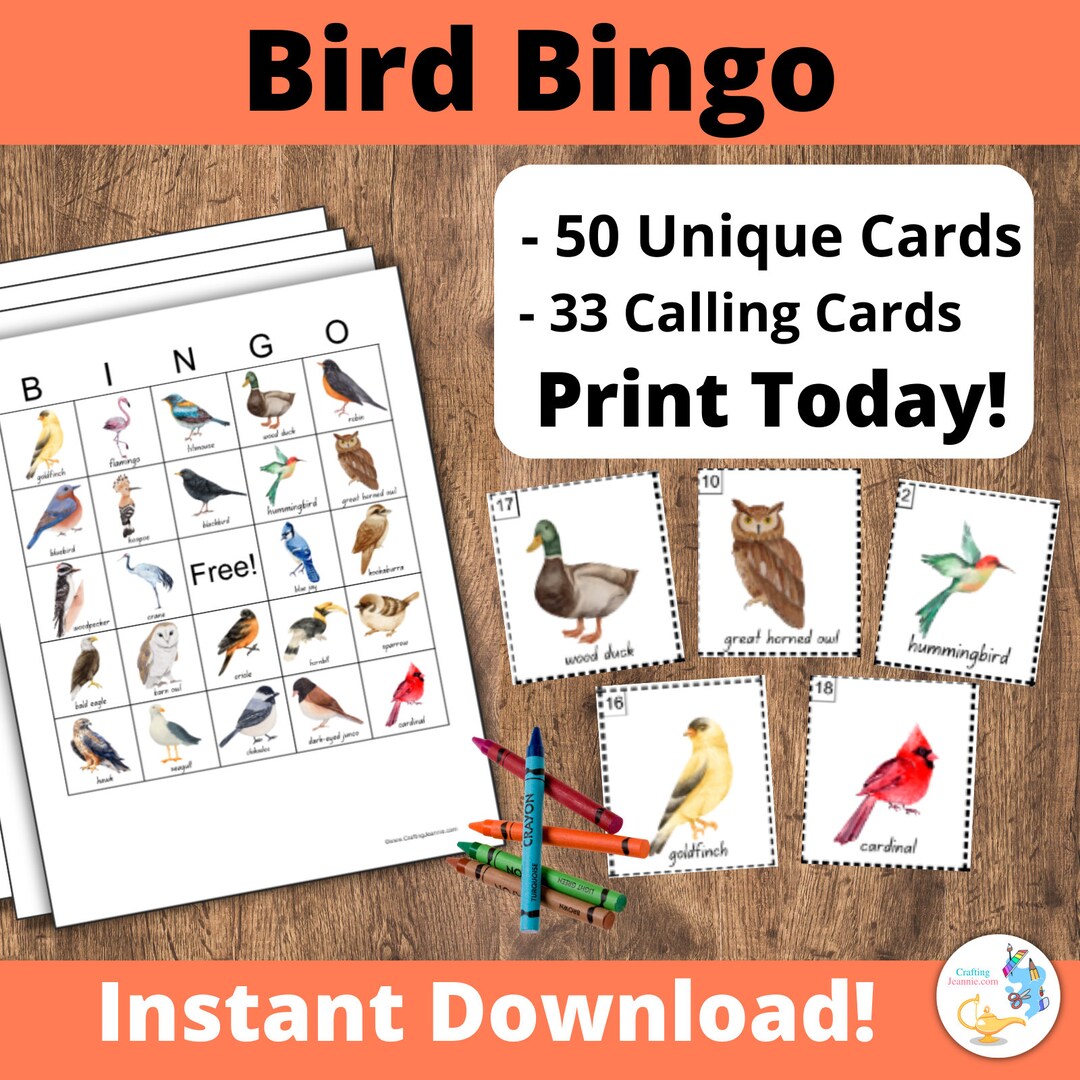 Bird Bingo Cards: Printable Bingo Cards Colorful Bingo Set - Etsy