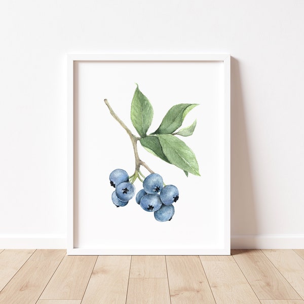 Watercolor Blueberry Print - Etsy