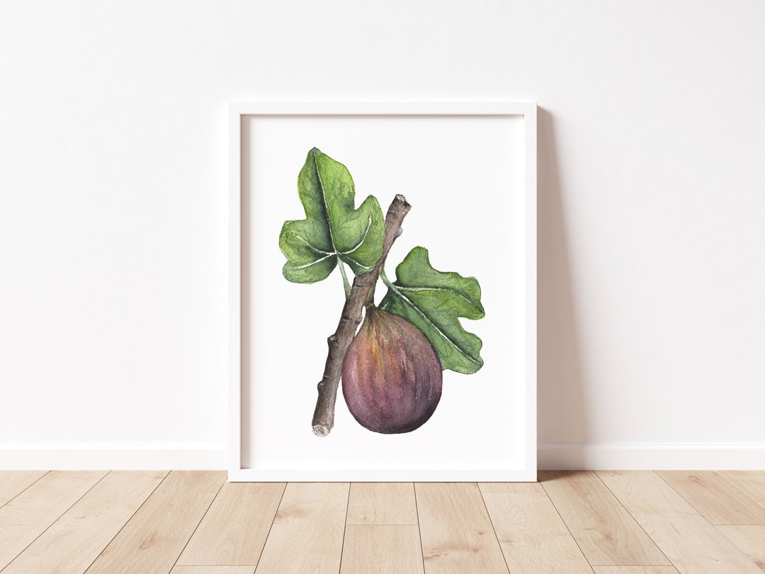 Fig Art Print, Watercolor Fruit Print, Fruit Wall Art, Fig Wall Art ...