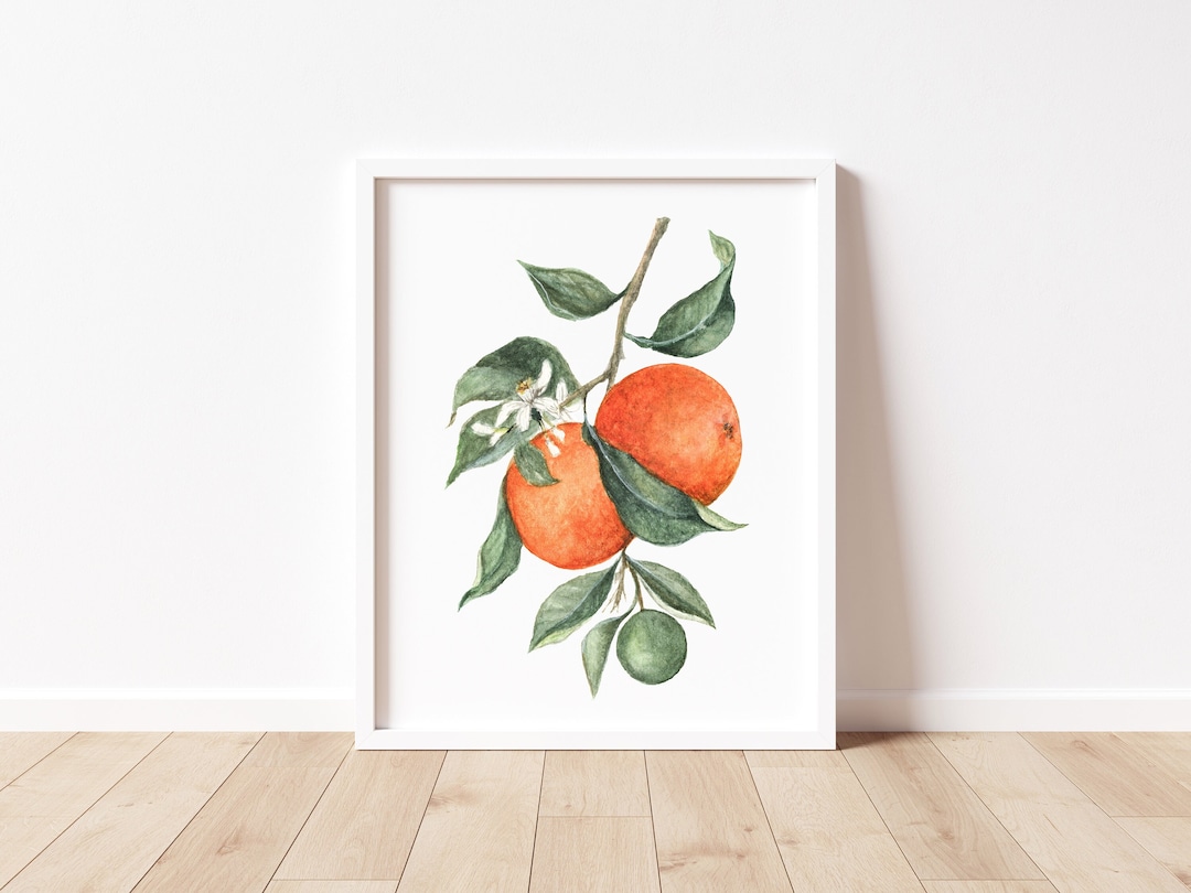 Orange Wall Art, Fruit Art Print, Watercolor Orange Fruit Art Print - Etsy