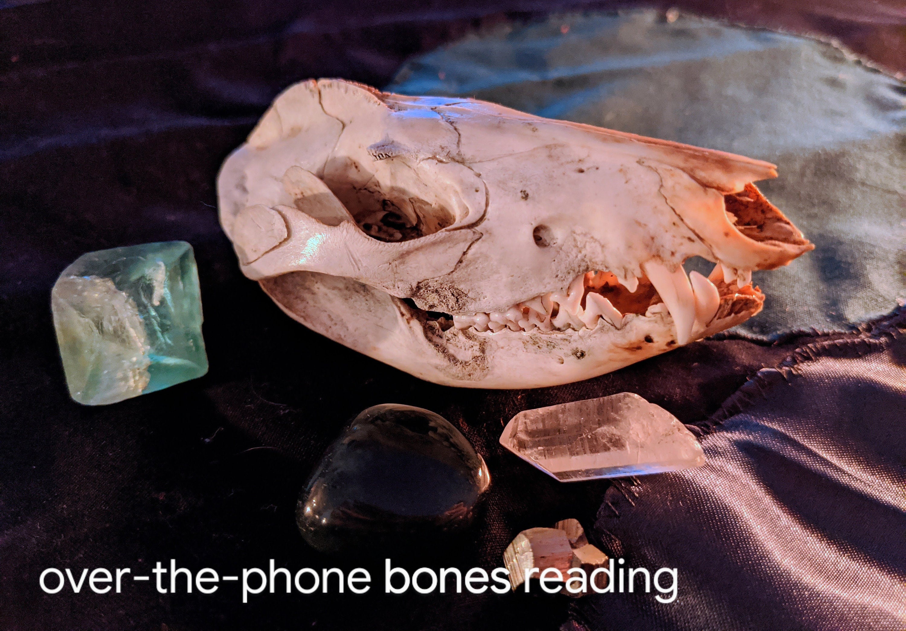 Throwing Bones Divination Reading With Over-the-phone App - Etsy