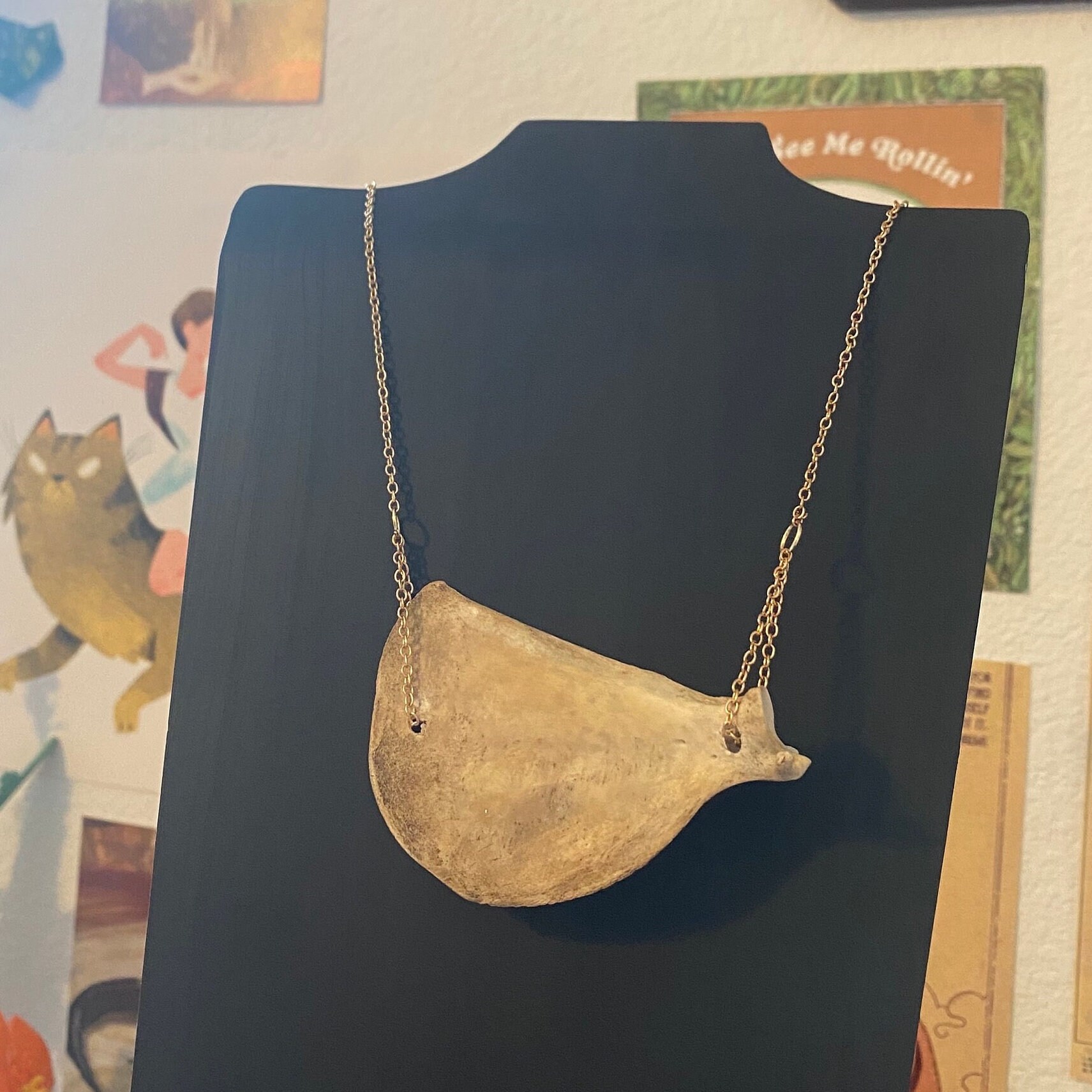 Real Scapula Necklace - Etsy
