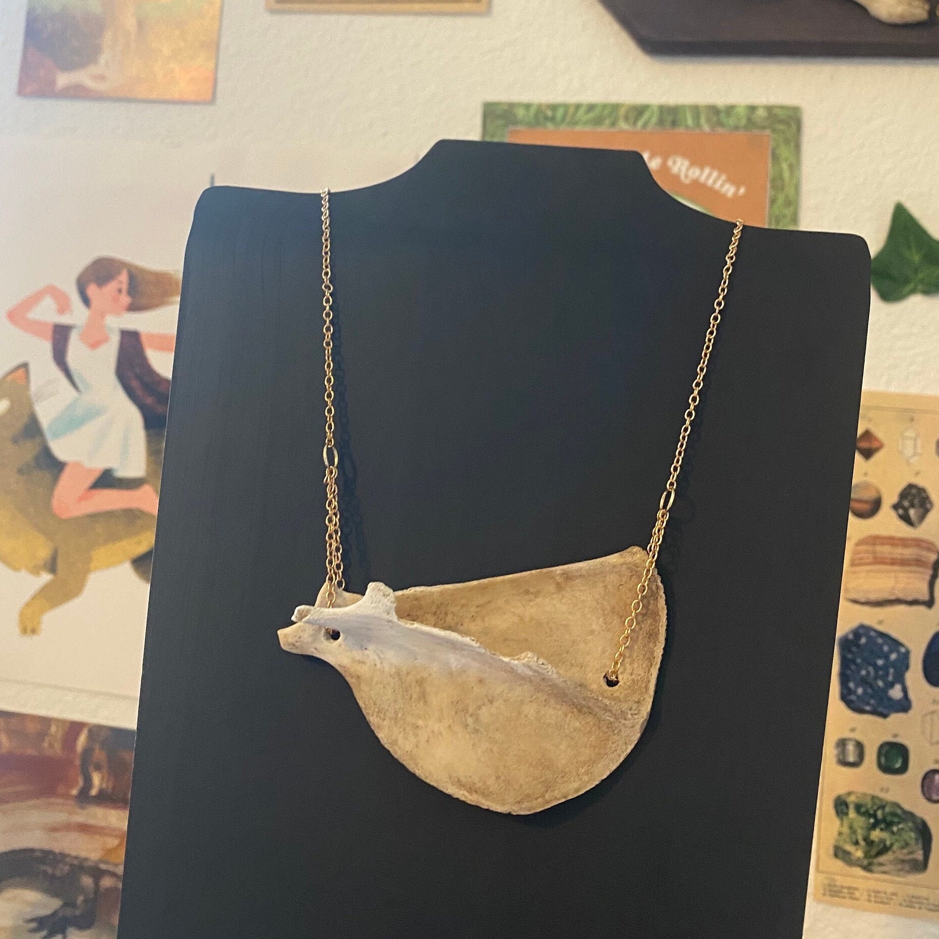 Real Scapula Necklace - Etsy