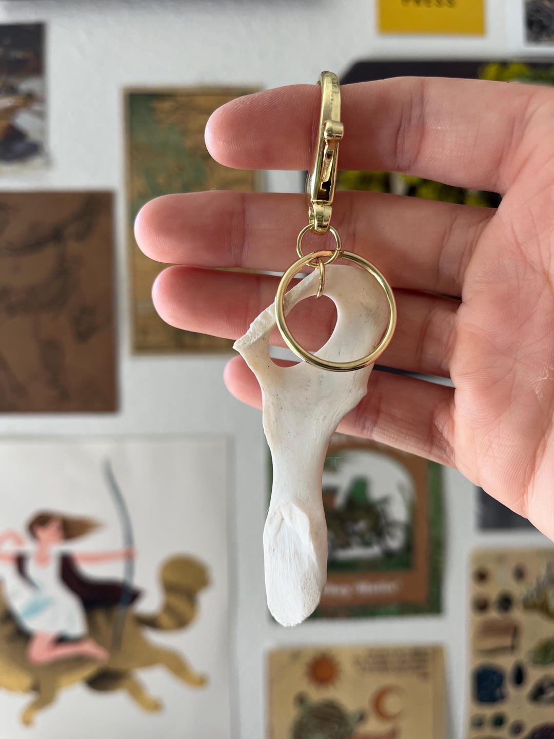 Pelvic Bone Keychain - Etsy