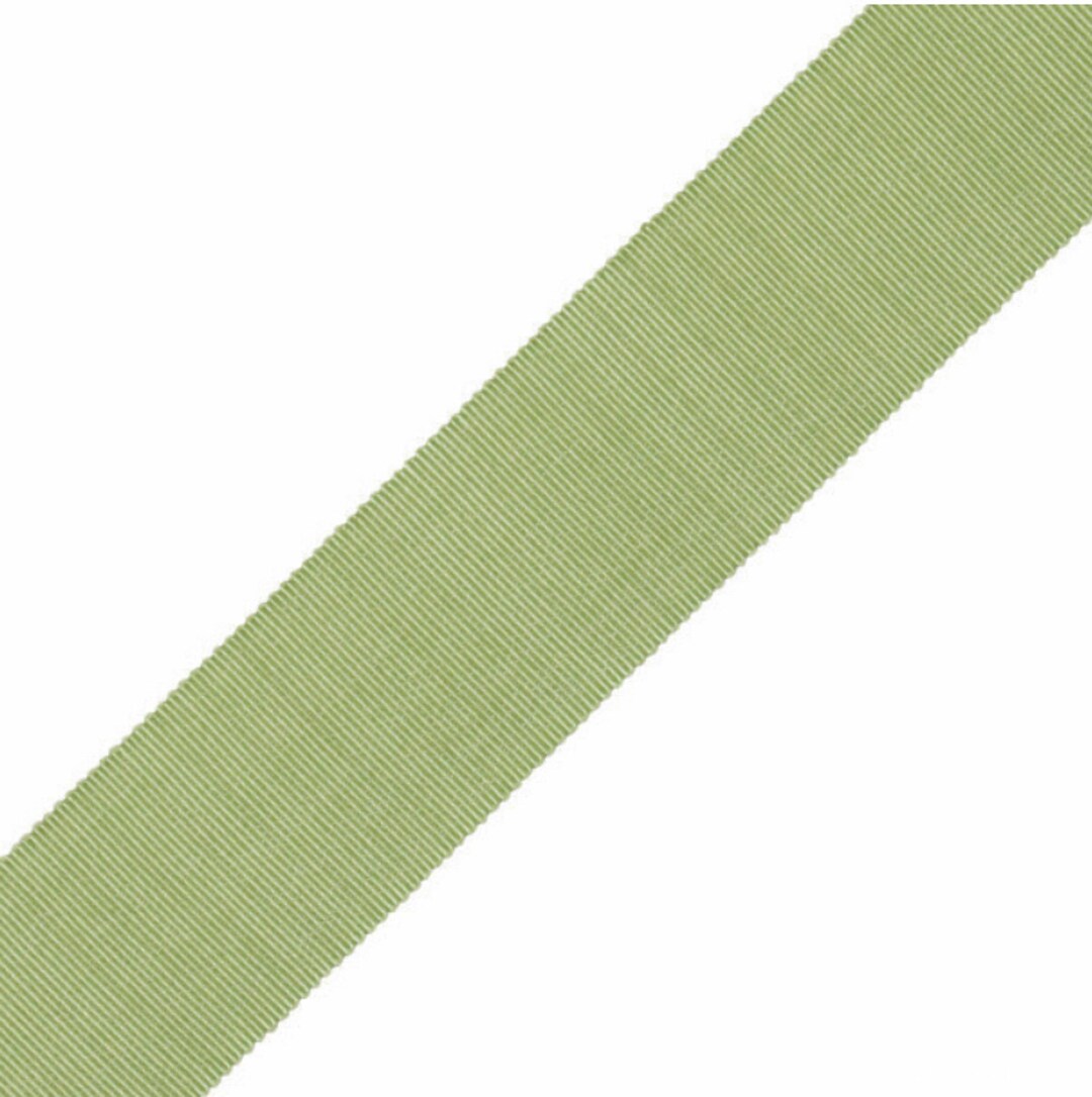 1.5" Karlee Spring Green Border Tape Trim - Etsy
