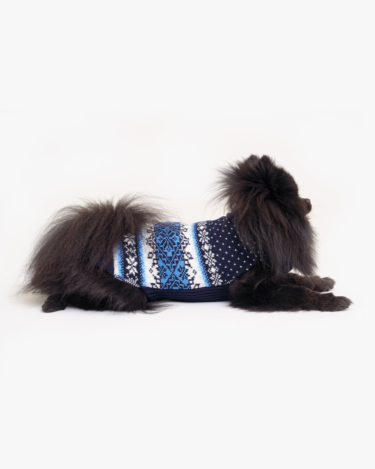 Dog Sweater Made of Organic Virgin Wool | Hand-knitted | Dog Sweater ...