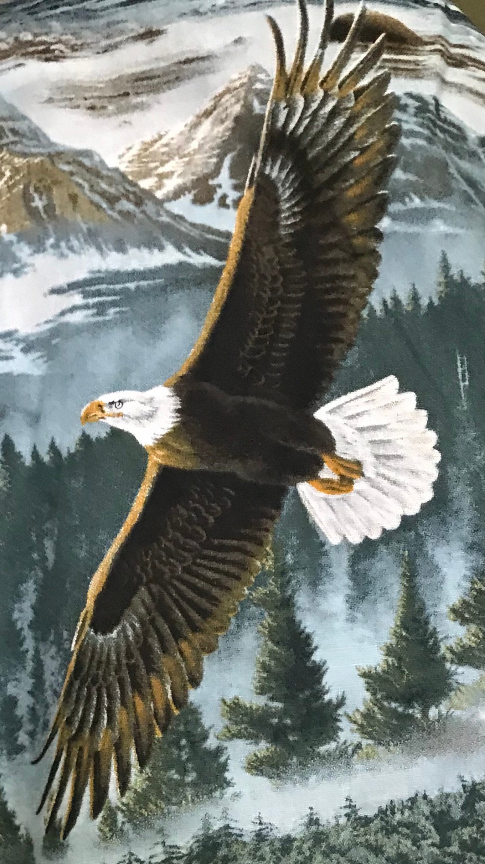 American Bald Eagle Soaring Over Landscape Face Cover/mask Stretch ...