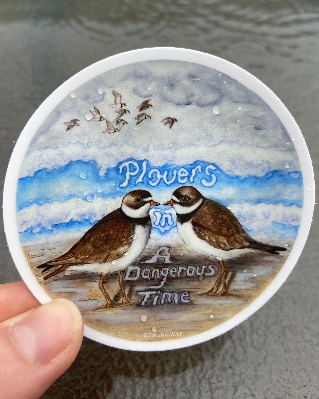 STICKER Plovers in A Dangerous Time - Etsy